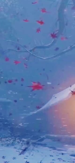 治愈风景②风景手机动态壁纸 风景手机壁纸下载 元气壁纸