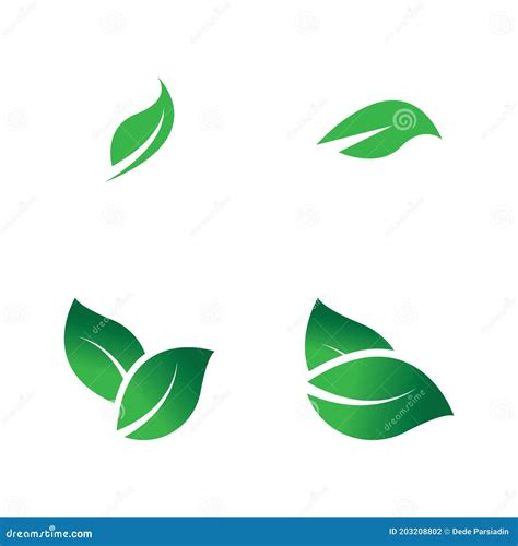Leaf Stock Vector Illustration Of Organic Health Floral 203208802