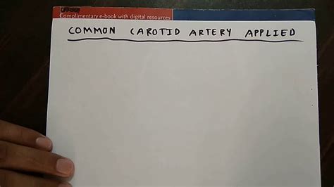 Comman Carotid Artery Applied Anatomy Chassaignac Tubercle Tcml