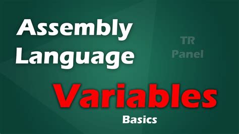 How To Use Variables In Assembly Language Tr Panel Youtube