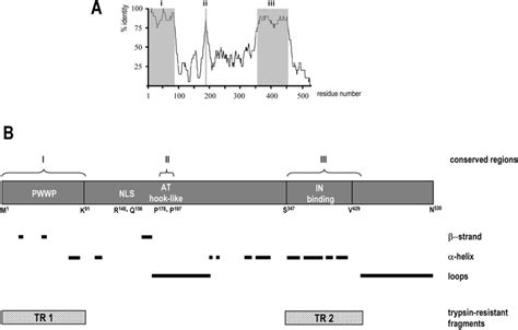 Sequence Conservation And Structural And Functional Elements Within