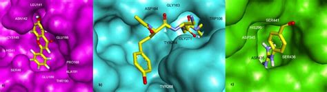 The 3d Complex Structures Of A Sars Cov 2 3clpro Baicalein B Sars