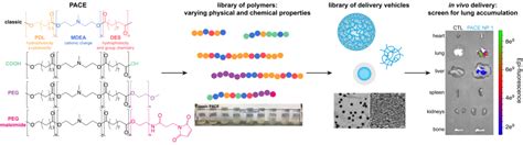 Research Dynamic Nanomedicines Lab