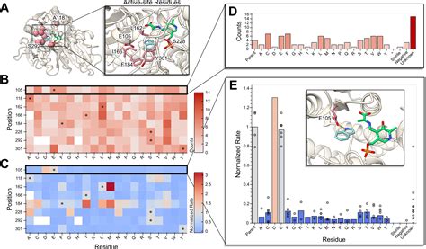 EvSeq Computational Tools For Extremely Low Cost Massively Parallel Amplicon Based Sequencing