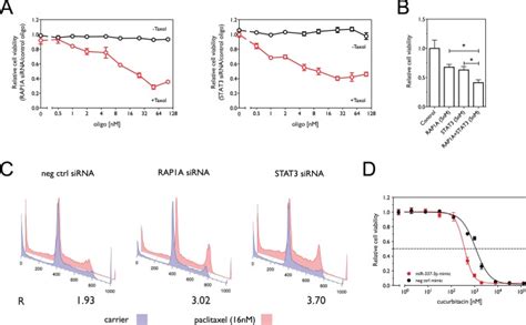 A Effect Of Knockdown Of Rap1a And Stat3 Expression By Sirna On Cell