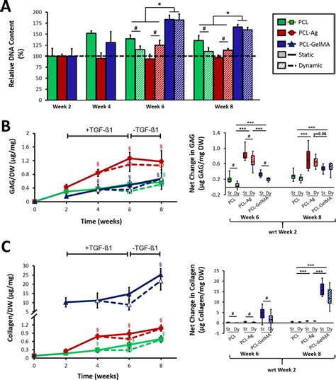 Effects Of Hydrogels Dynamic Stimulation And Tgf β1 On The
