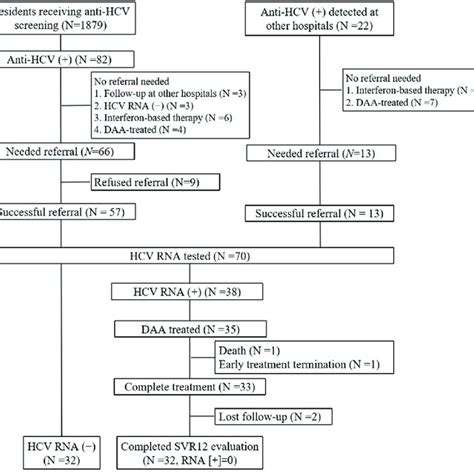Flowchart Of Participants In The Referral Model Daa Direct Acting