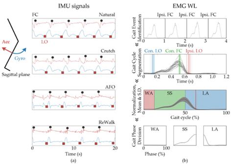 Applied Sciences Free Full Text Biomechanical Task Based Gait