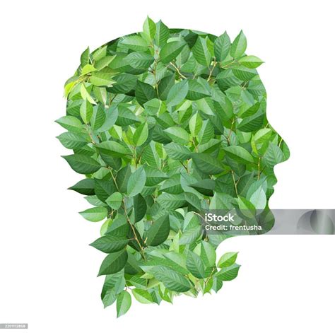 녹색 잎으로 만든 사람의 옆모습입니다 흰색에 절연되어 있습니다 폐기물 제로 책임감 있는 소비에 대한 전략 접근 방식의 지속 가능한 개발 재사용 생태 재생자원 친환경 컨셉