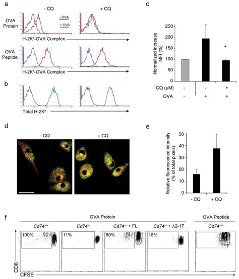 A Cd74 Dependent Mhc Class I Endolysosomal Cross Presentation Pathway Pmc
