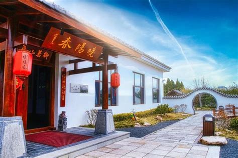 助力乡村振兴 崂山区2023年农业高质量发展技能培训在晓阳春正式启动 茶友网 原中国普洱茶网