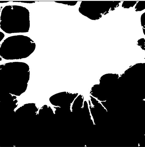 Calculating The Perimeter In Binary Image Signal Processing Stack
