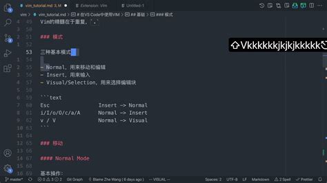 Vs Code 学 Vim （1） 介绍和normal模式移动技巧 泛程序员 Youtube
