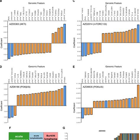 A Cancer Cell Line Pharmacology Screen Of Pi3k Pathway Inhibitors