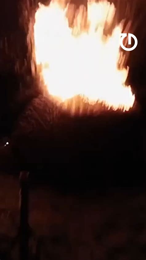 🔴 პარტია ფედერალისტების ერთ ერთი ლიდერის თამარ ჩერგოლეიშვილის კომენტარი ბლოგერ დოდი ხარხელის