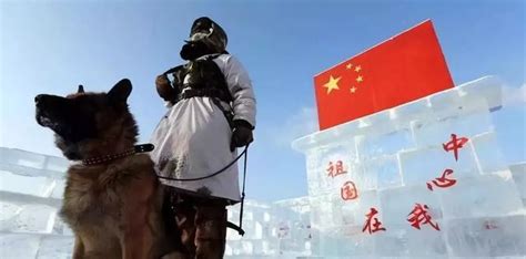 八一 致敬退伍不褪色的军人 搜狐大视野 搜狐新闻