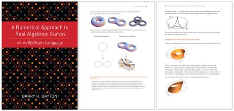 Wolfram Media A Numerical Approach To Real Algebraic Curves Online