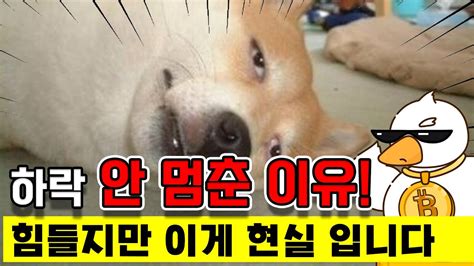 비트코인 이젠 이렇게 보셔야 합니다비트시황 Youtube