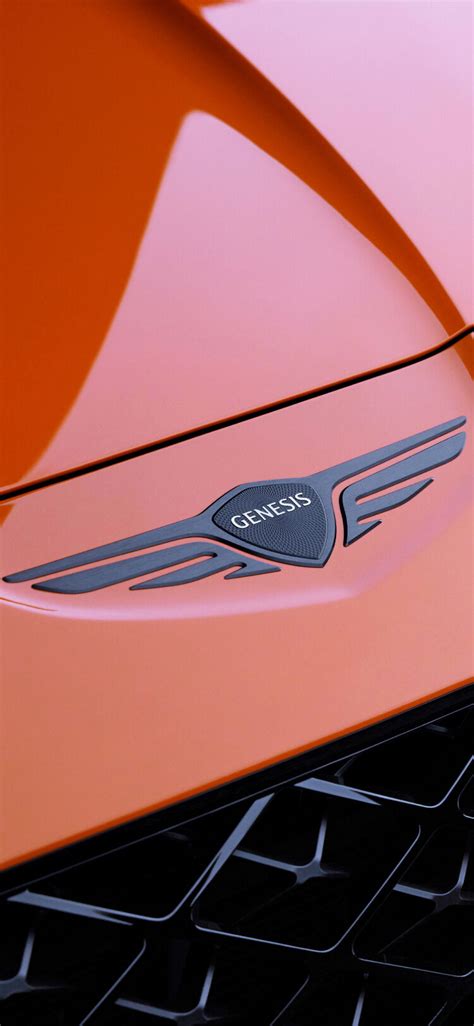 Genesis Magma Model Introduction Genesis Worldwide