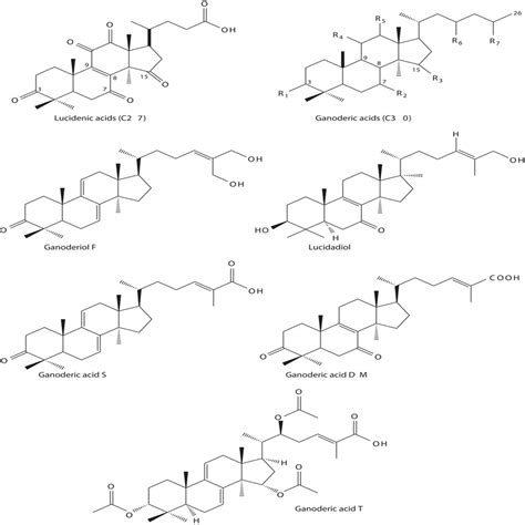 European Journal Of Cancer Prevention