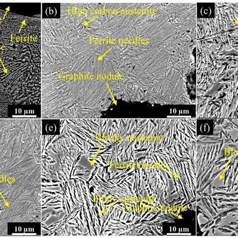 Etched Microstructure Of Ab As Cast Di And C G Adis Download Scientific Diagram
