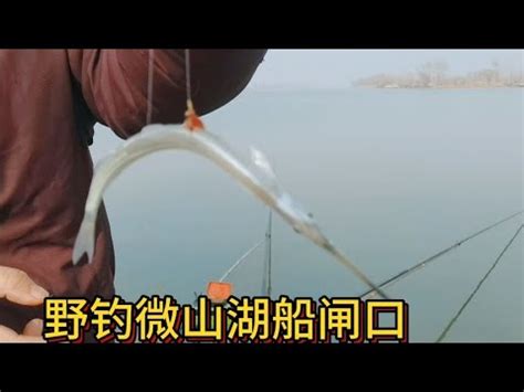 野钓微山湖船闸口接连挂上几条叫不出名字的鱼细长身尖尖的嘴 YouTube