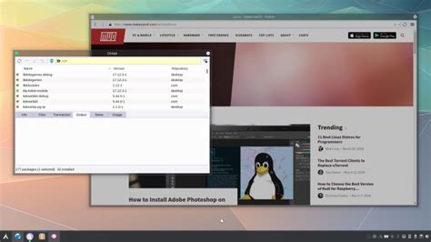 Linux Operating Systems That Offer Bleeding Edge Updates