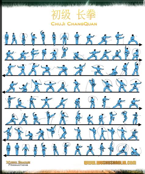 Shaolin Kung Fu Styles List