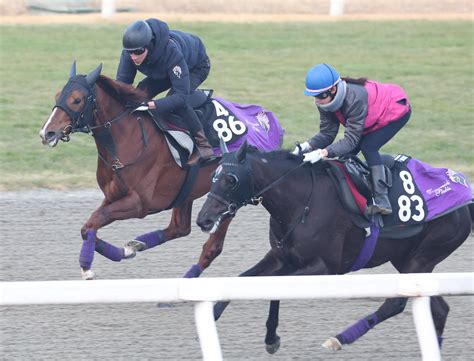 母はg1・2勝シヴァース、4馬身追走し頭遅れ82秒1 友道師「良くなっている」／きさらぎ賞 3歳馬特集 競馬写真ニュース 日刊スポーツ