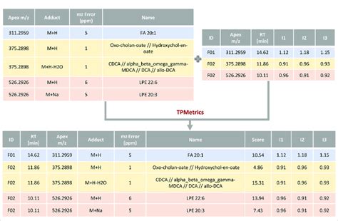 Example Of Scoring By TPMetrics Feature Annotations Are Combined With