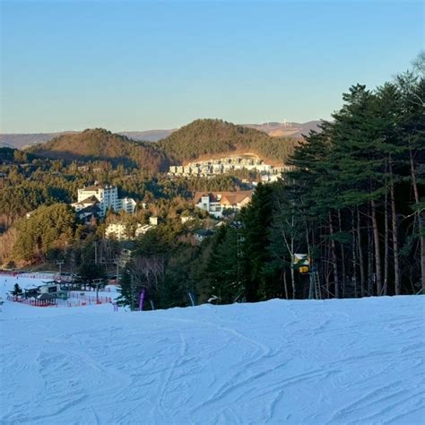 평창 용평리조트렌탈샵 스키장 할인 꿀팁 겨울바라기 찐후기 네이버 블로그