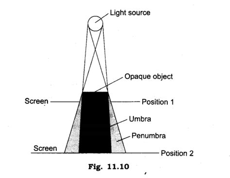 Ncert Solutions For Class 6 Science Light Shadows And Reflection