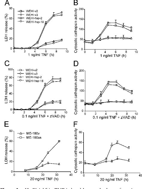 Heat Shock Proteins Semantic Scholar