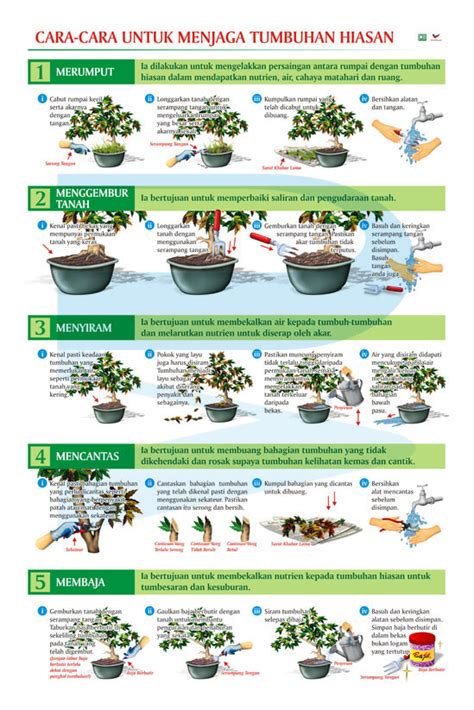 Cara Cara Untuk Menjaga Tumbuhan Hiasan Progressive Scientific Sdn Bhd