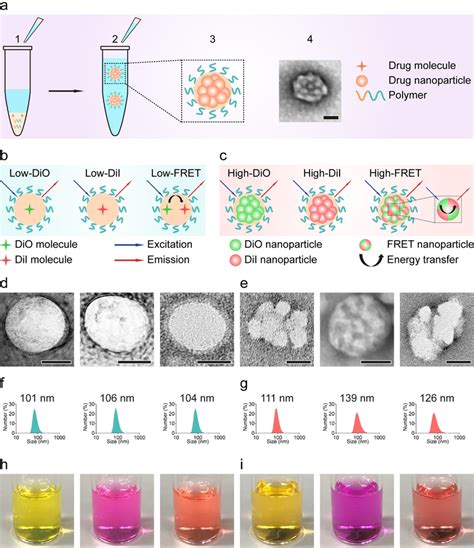 Synthesis And Characterization Of Dye‐loaded Polymeric Nanoparticles Download Scientific