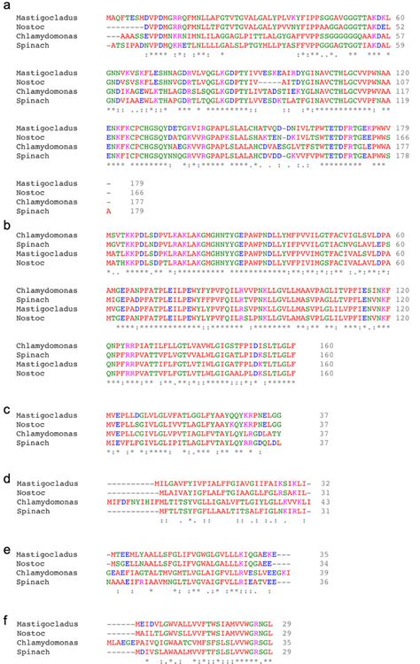 Multiple Sequence Alignment Of The Rieske Isp Subunit Iv Petg Petl