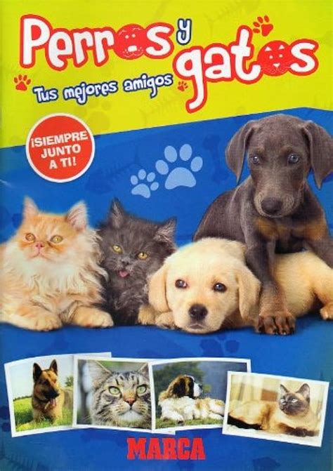 Son Mejores Los Gatos O Los Perros