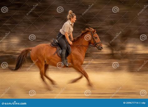 Slow Pan Of Blonde Riding Past Trees Stock Photo Image Of Caballus