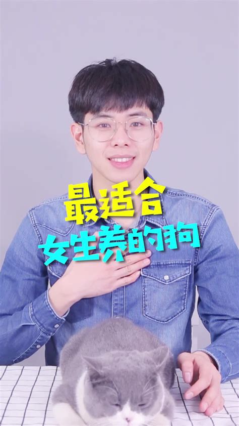 最适合女生养的狗狗，你喜欢哪种狗狗呢？哔哩哔哩bilibili
