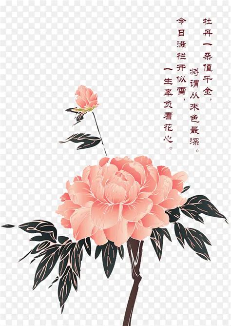 中国风牡丹png图片素材下载图片编号8511338 Png素材网