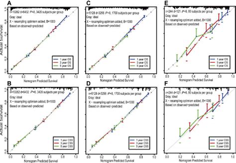 Calibration Curves For Predicting 1 3 And 5 Year Os And Css In