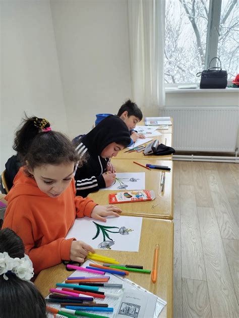 აფხაზეთის N5 საჯარო სკოლის მოსწავლეები კომპლექსურ დავალებებსა და პროექტებზე წარმატებით მუშაობენ