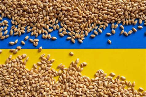 Ukraine Grain Exports On Upswing World Grain