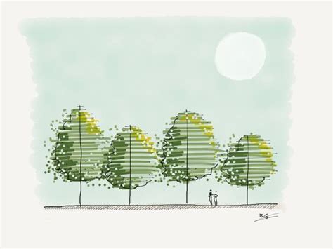 Pin By Sonn Pon On Tattoos Tree Sketches Architectural Trees Architecture Sketch