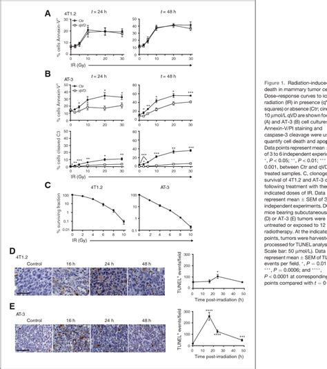 Figure 1 From Radiotherapy Increases The Permissiveness Of Established