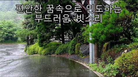 편안한 꿈 속으로 인도하는 부드러운 빗소리 자연의 소리 Asmr Youtube