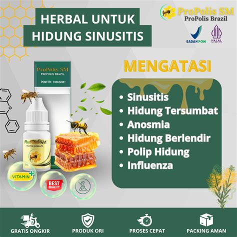Jual Obat Hidung Sinusitis Hidung Tersumbat Anosmia Hidung Berlendir