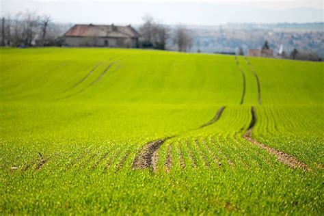 Field Lines Background Images Hd Pictures And Wallpaper For Free Download Pngtree