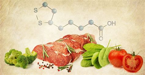 7 Food Sources Of Alpha Lipoic Acid You Should Try