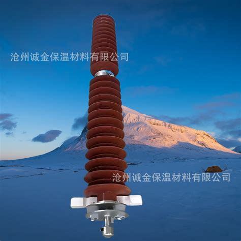 高压10kv避雷器hy5ws 1750配电型一体式复合绝缘氧化锌避雷器材 阿里巴巴
